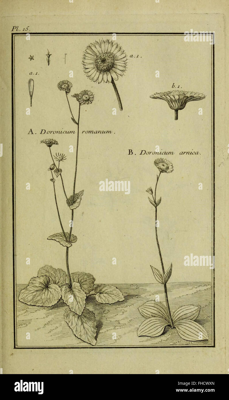 Description, vertus et usages de sept cents dix-neuf plantes, France ...