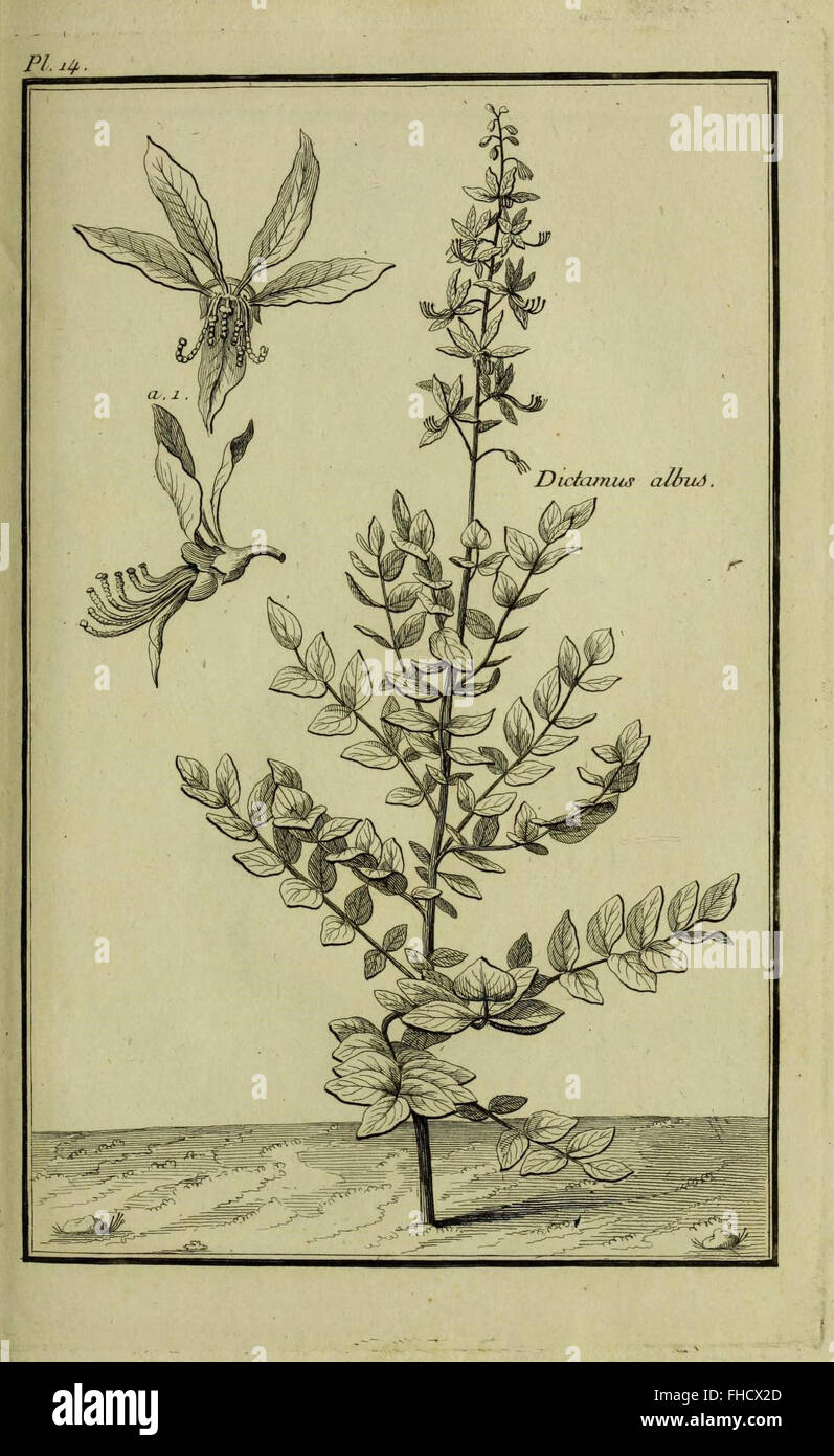 A botanical description of 719 plants, detailing their virtues and uses ...