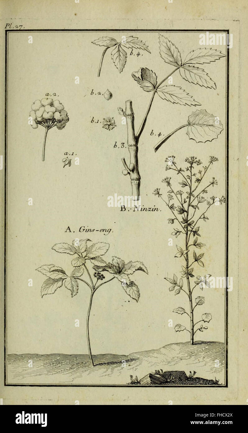 Description, virtues, and uses of seven hundred and nineteen plants ...