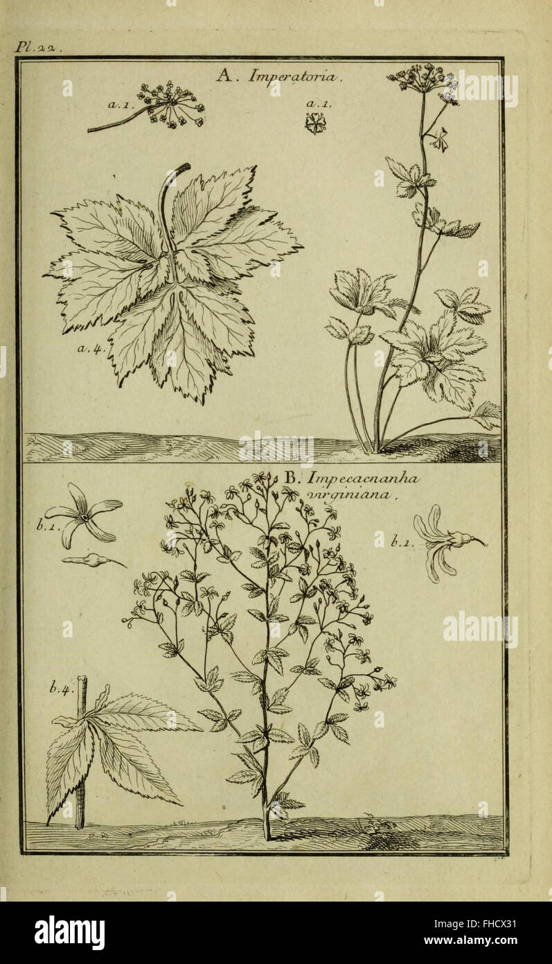 A comprehensive description of 719 plants, detailing their virtues and ...
