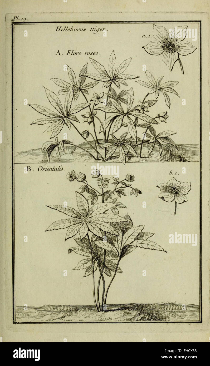 Description, Virtues and Uses of Seven Hundred Nineteen Plants, a ...