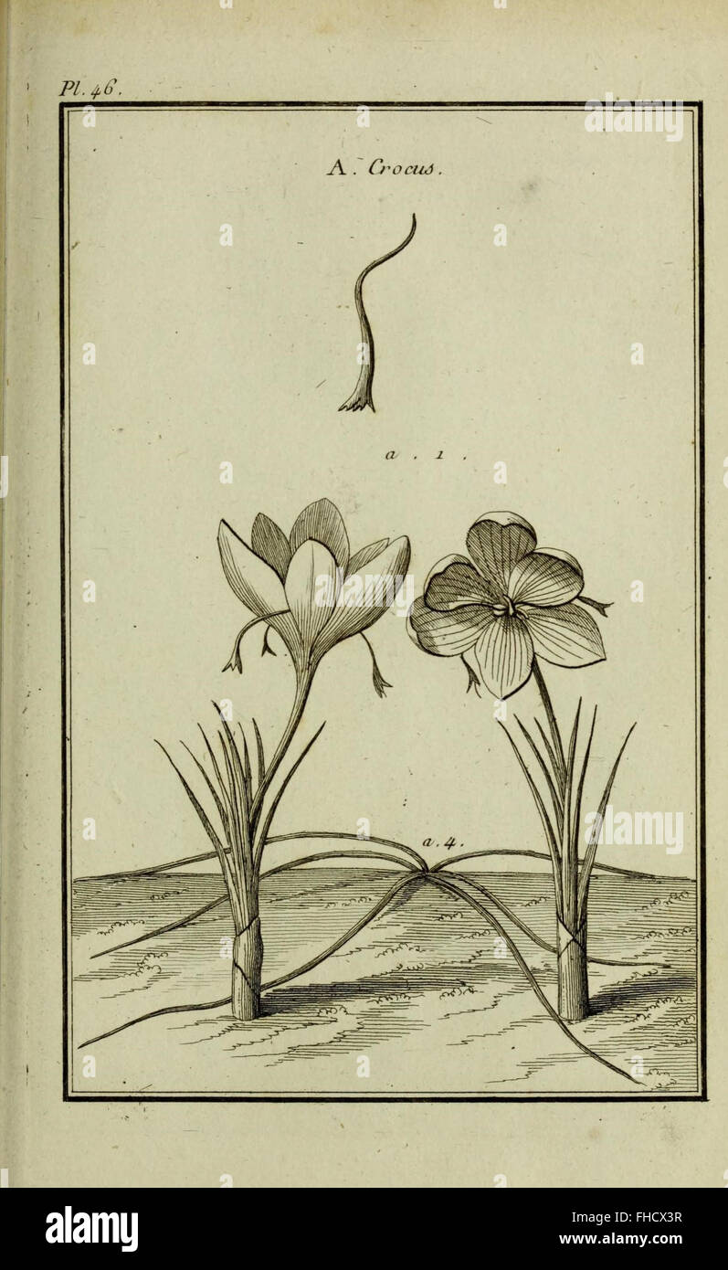 Description, Vertus et Usages de Sept Cents Dix-Neuf Plantes, France ...