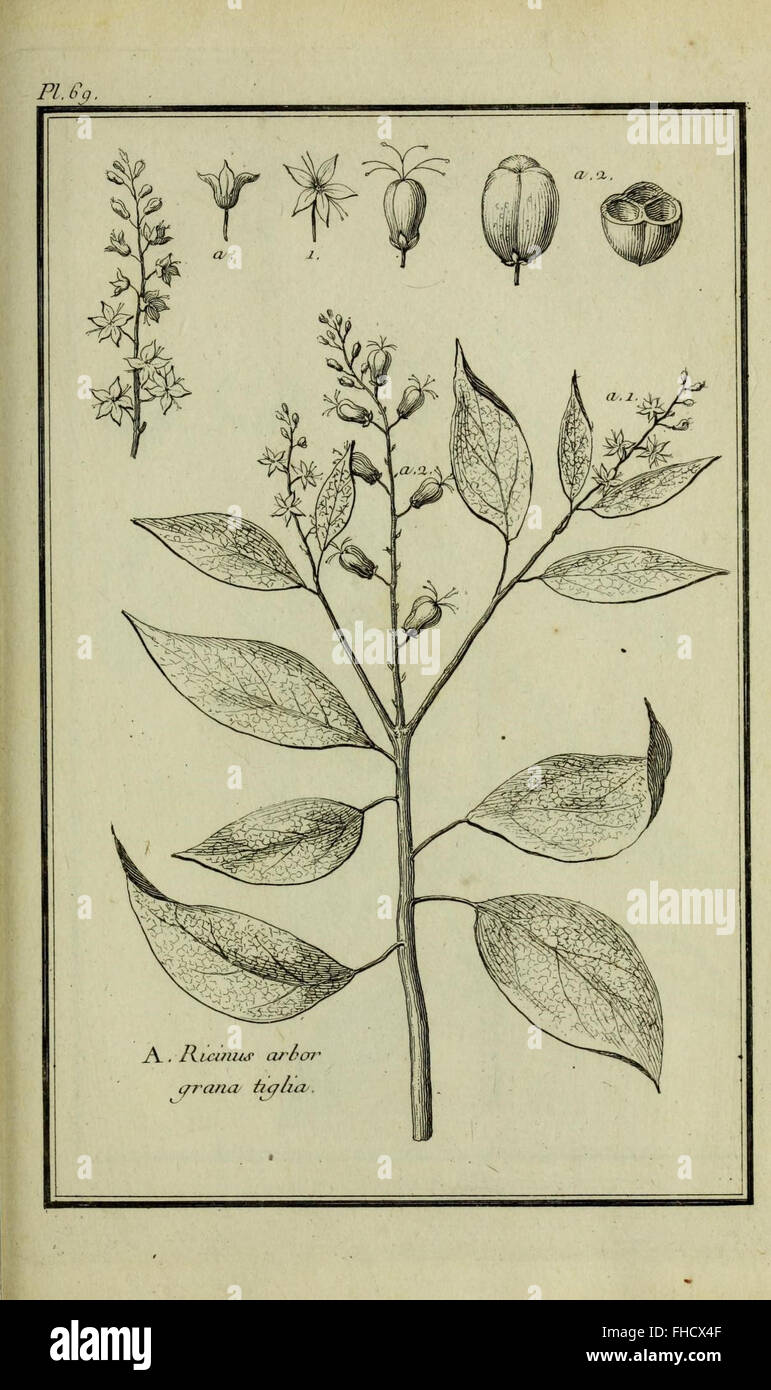Description, vertus et usages de sept cents dix-neuf plantes, France ...