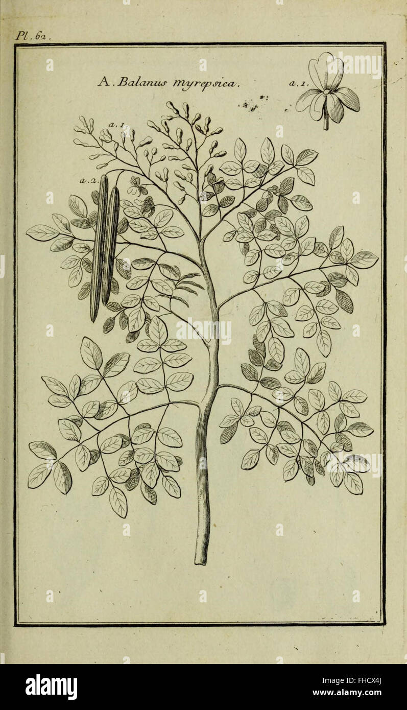 A French botanical work detailing the medicinal properties and uses of ...