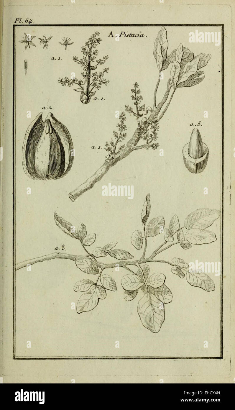 Description, Virtues and Uses of Seven Hundred Nineteen Plants, France ...
