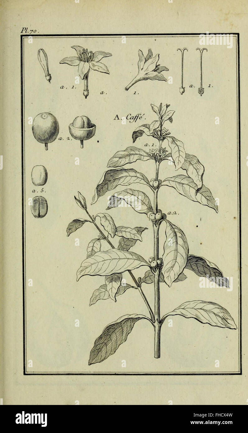 A comprehensive French work on the virtues and uses of 719 plants ...