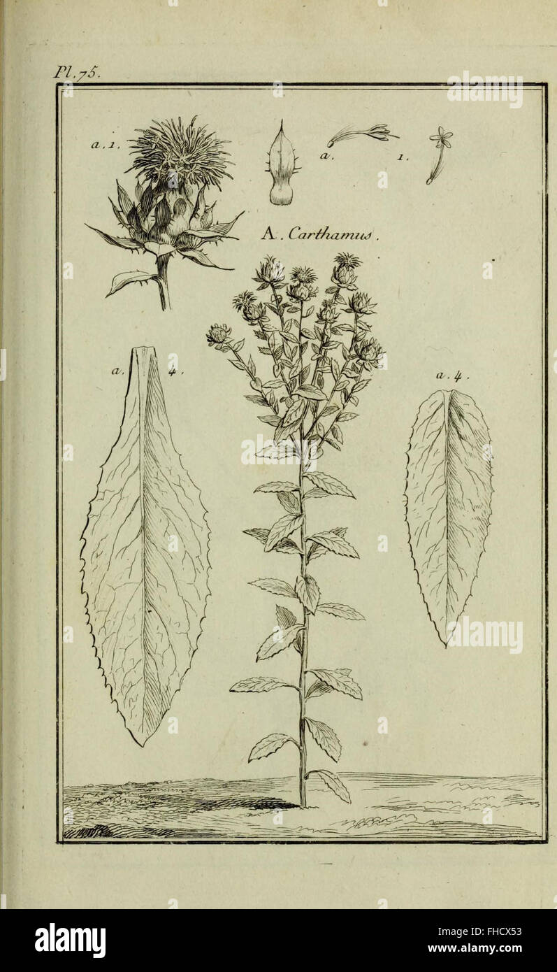 ‘Description, vertus et usages de sept cents dix-neuf plantes’ is a ...