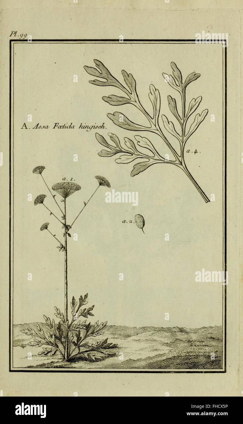 Description, vertus et usages de sept cents dix-neuf plantes Stock ...