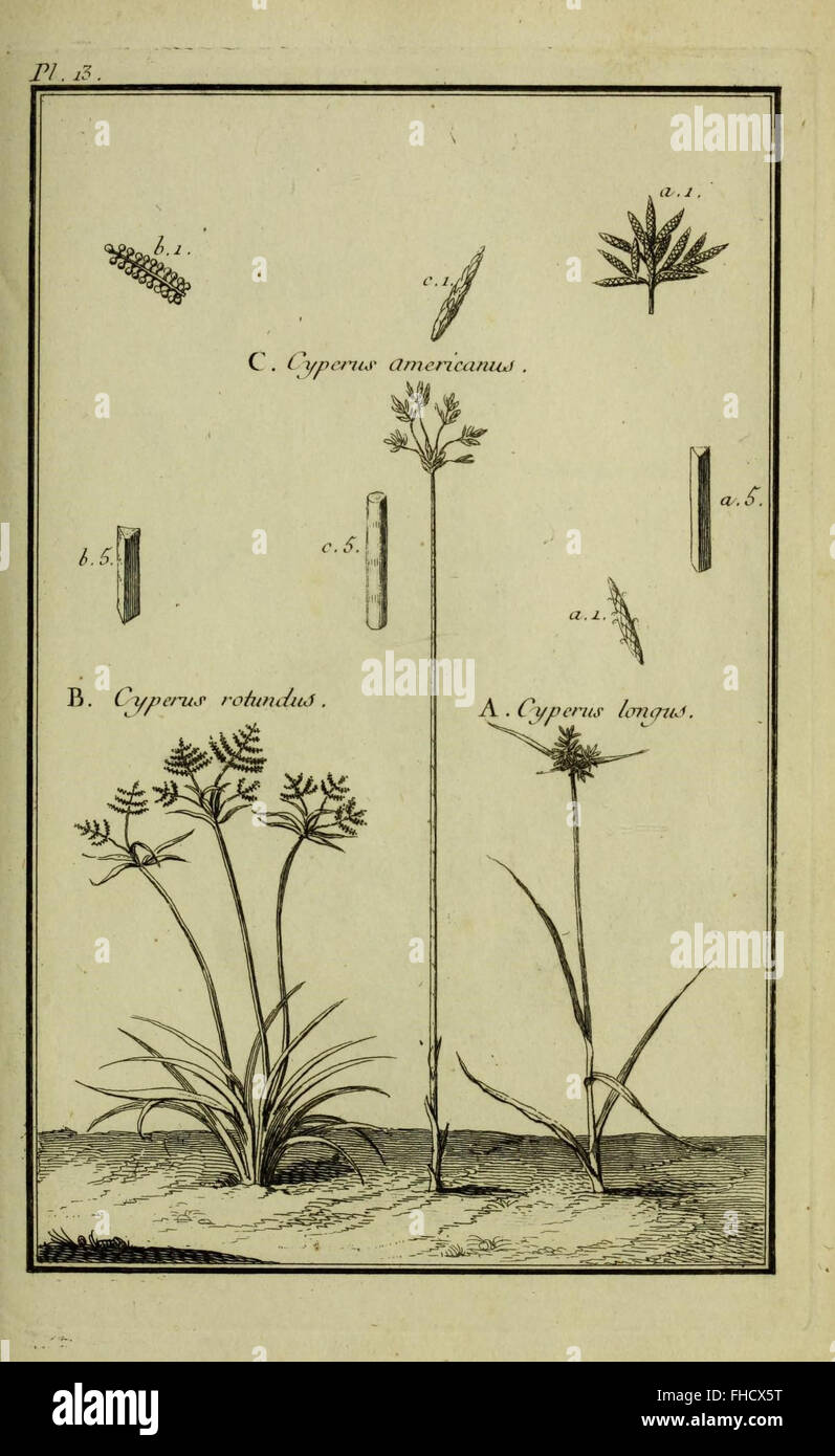 Dix letter hi-res stock photography and images - Alamy