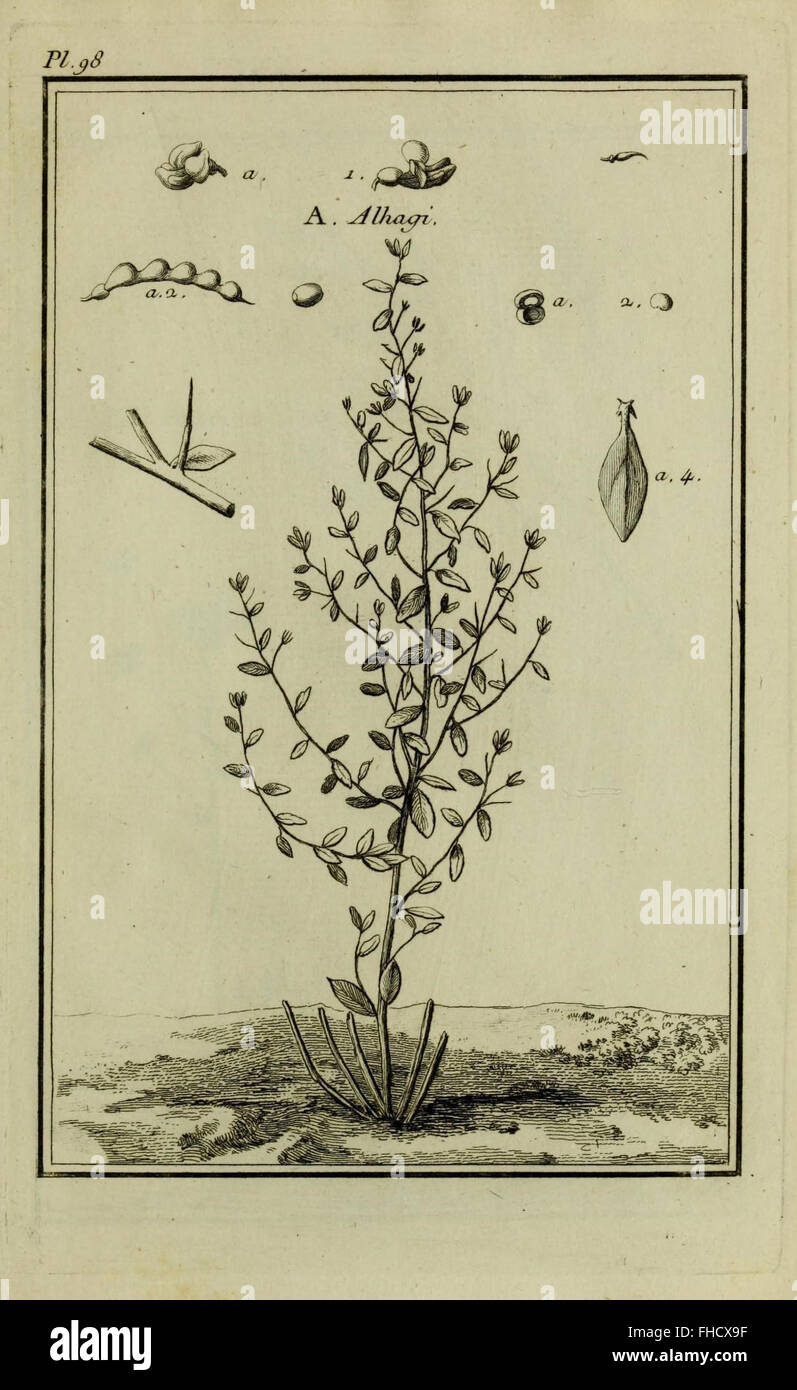 Description, vertus et usages de sept cents dix-neuf plantes, France ...
