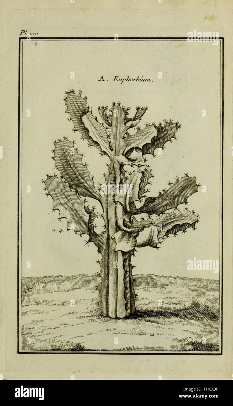 Exploring the medicinal uses of 719 plants in France, based on detailed ...