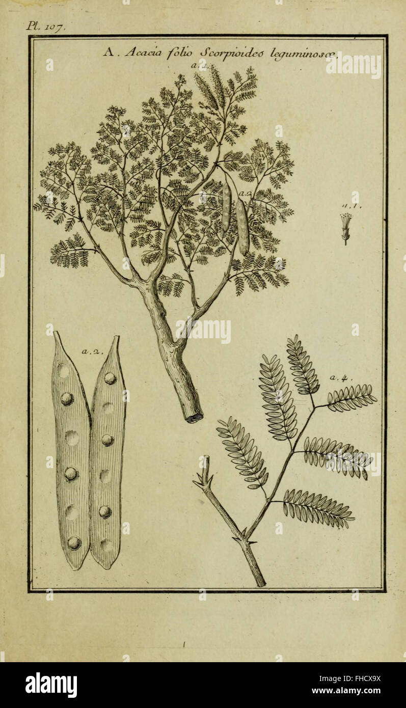 A detailed botanical description of 719 plants, including their ...