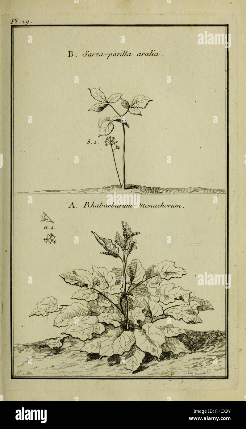 A description of 719 plants in France, focusing on their virtues and ...