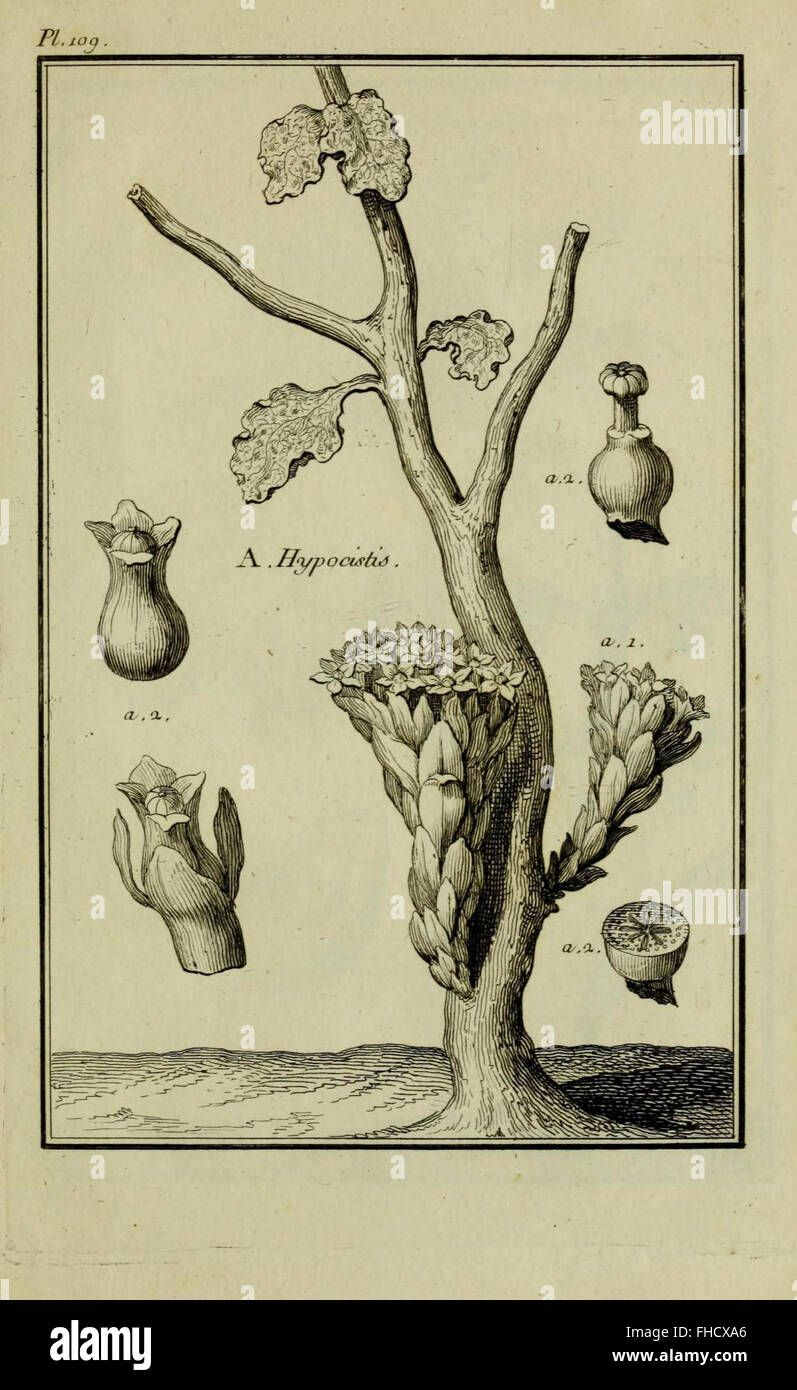 Dix letter hi-res stock photography and images - Alamy