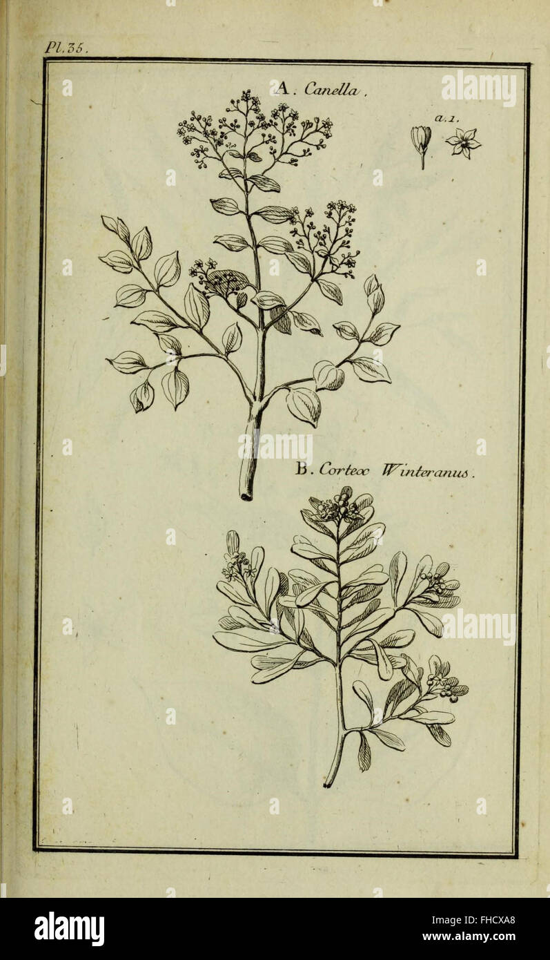A French botanical work describing the virtues and uses of seven ...