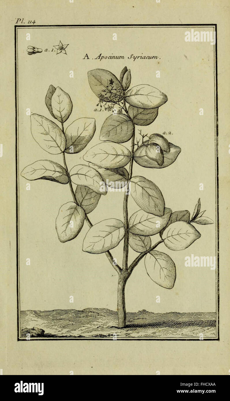 Dix font hi-res stock photography and images - Alamy