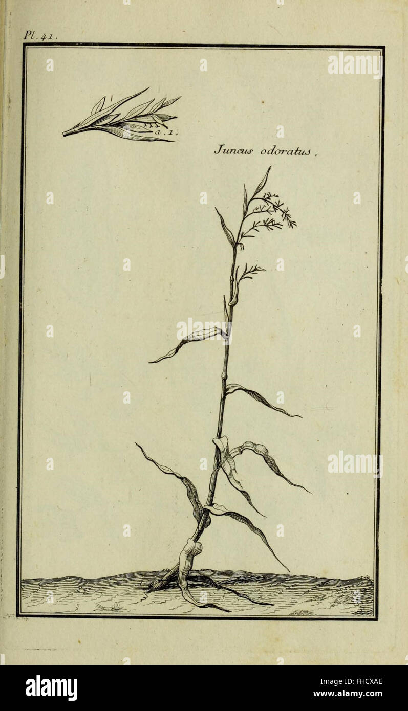 Description, vertus et usages de sept cents dix-neuf plantes, France ...