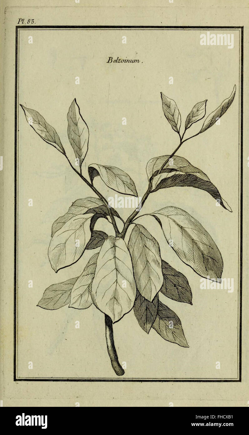 A comprehensive French work describing the virtues and uses of 719 ...