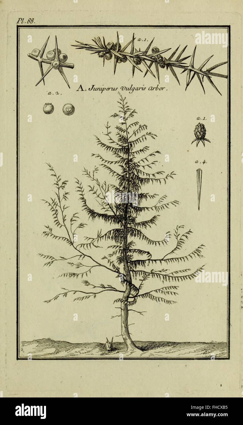 A French botanical work detailing the virtues and uses of 719 plants ...