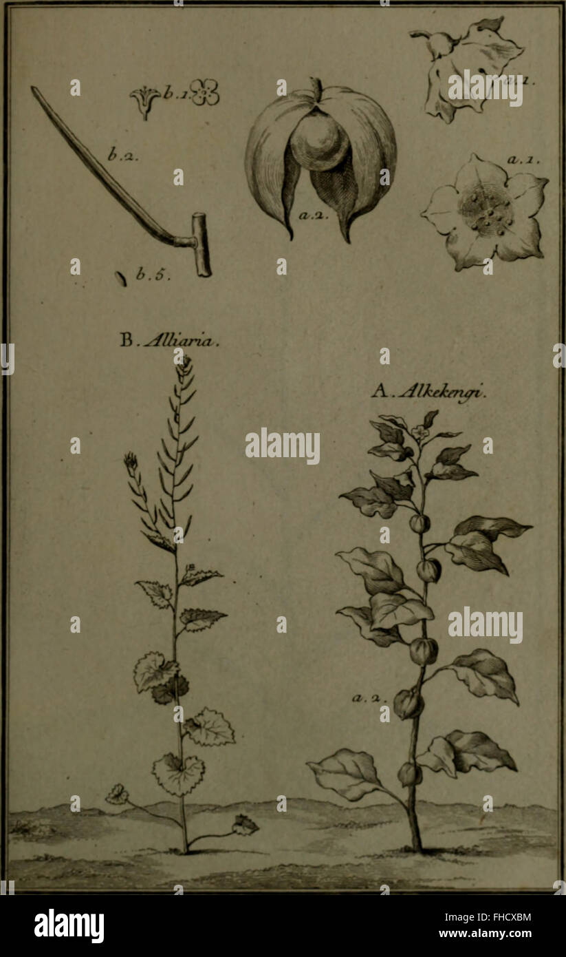 A comprehensive 18th-century work describing the uses, virtues, and ...