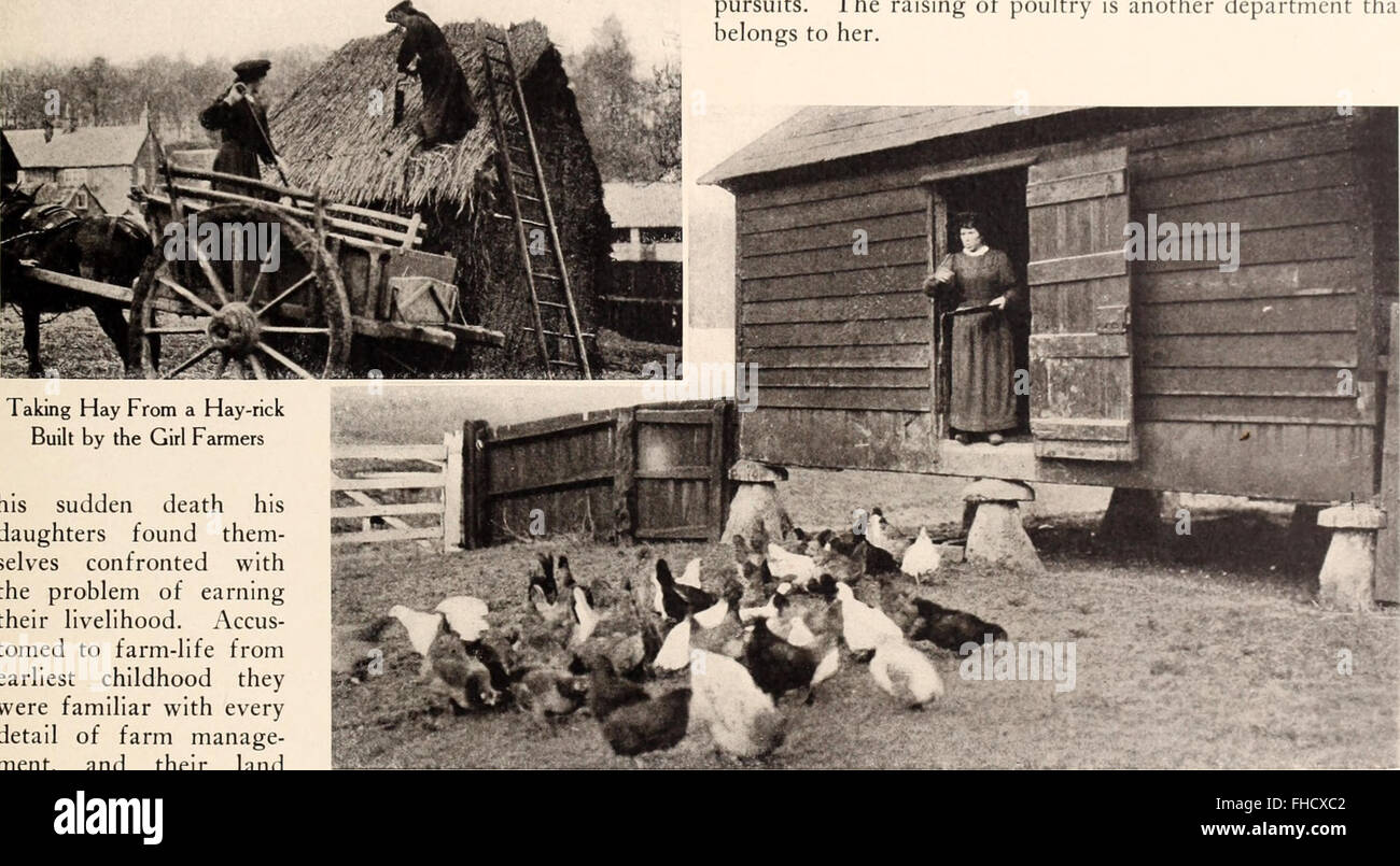 An insightful publication from 1905 exploring the design and decoration ...