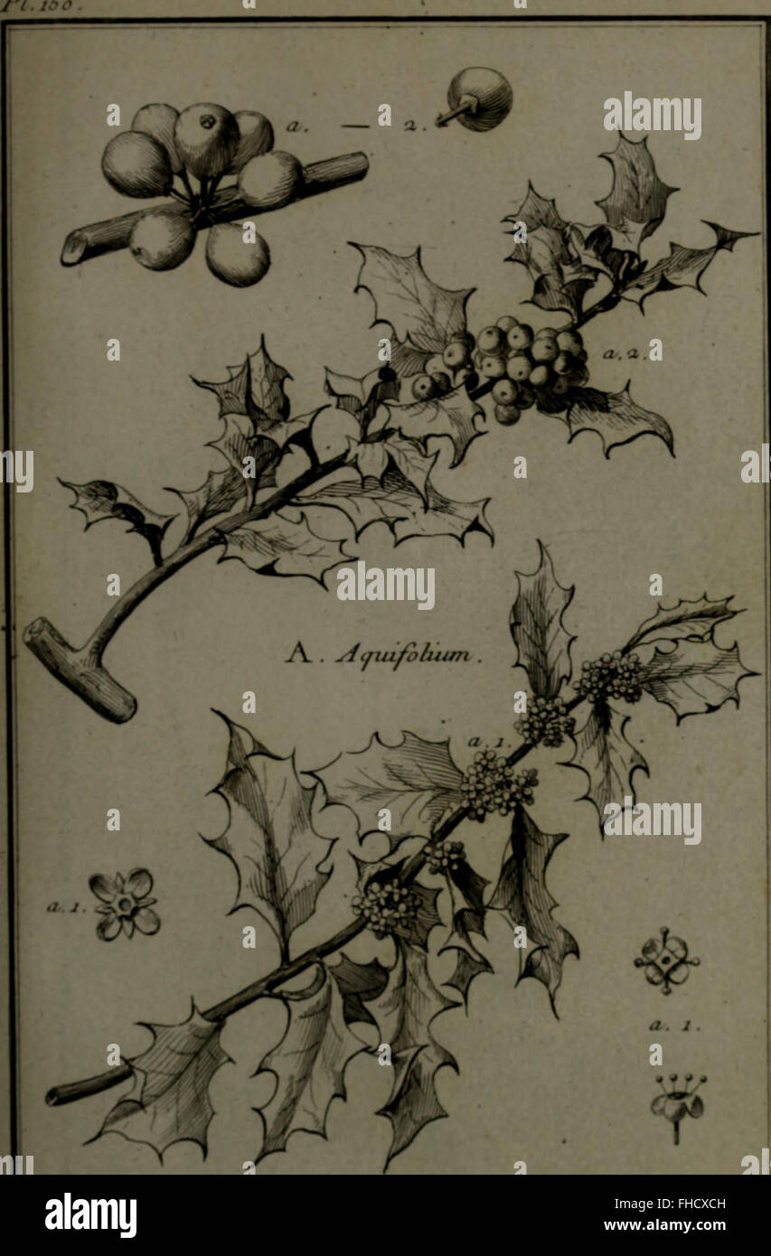 A detailed description of 719 plants, both foreign and native, and 134 ...