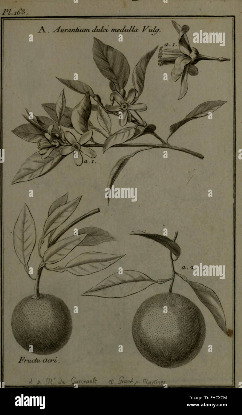 ‘Description, Vertus et Usages de Sept Cents Dix-Neuf Plantes’ (1830s ...