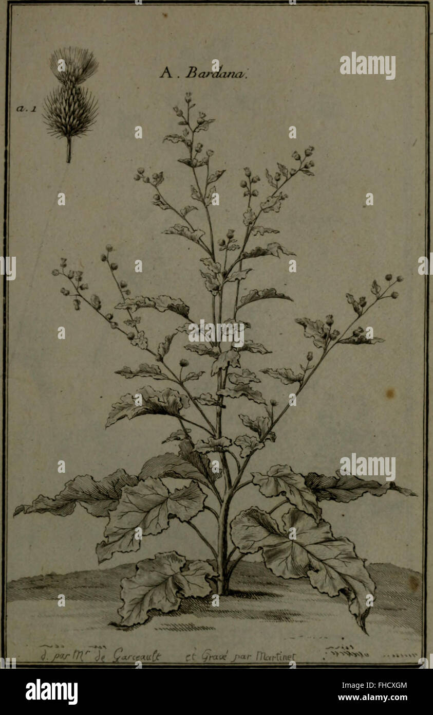 A detailed 18th-century French work describing the virtues and uses of ...