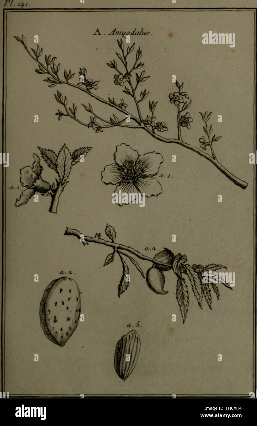 Description, vertus et usages de sept cents dix-neuf plantes - tant ...