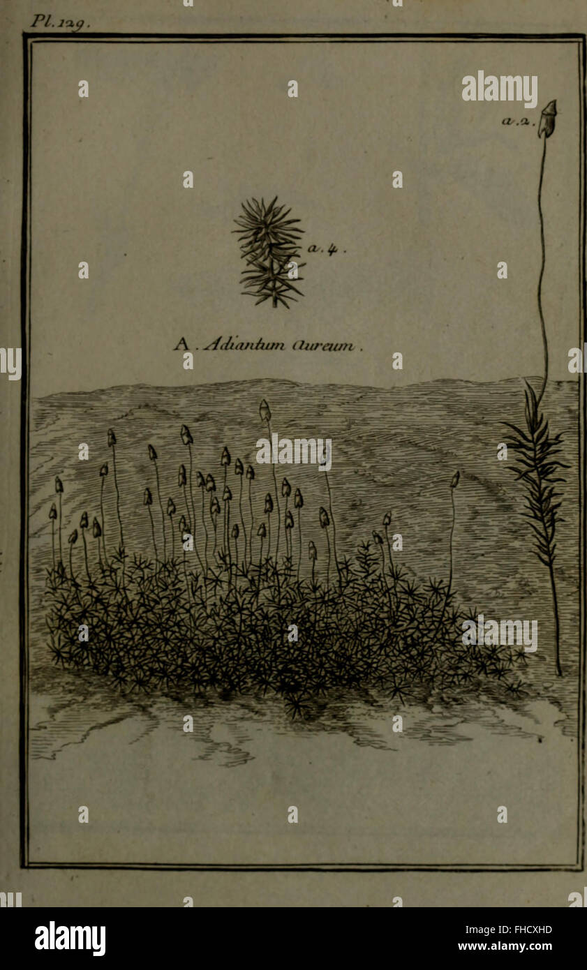 Que en letter hi-res stock photography and images - Alamy