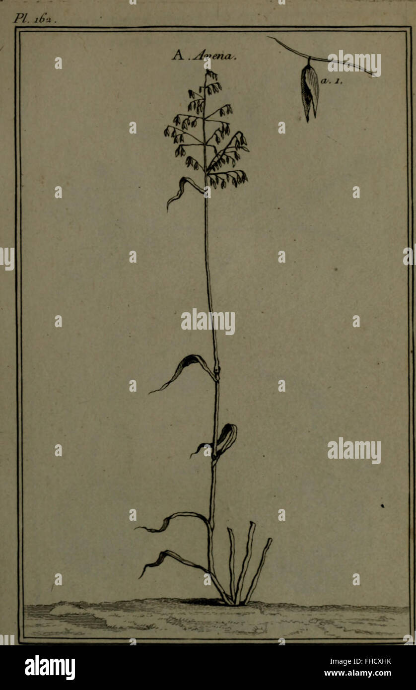 Description, Vertus et Usages de Sept Cents Dix-Neuf Plantes is a ...