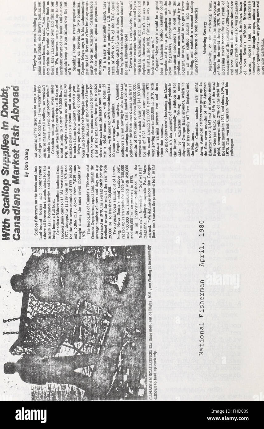 A 1983 report detailing the development and evolution of the sea ...