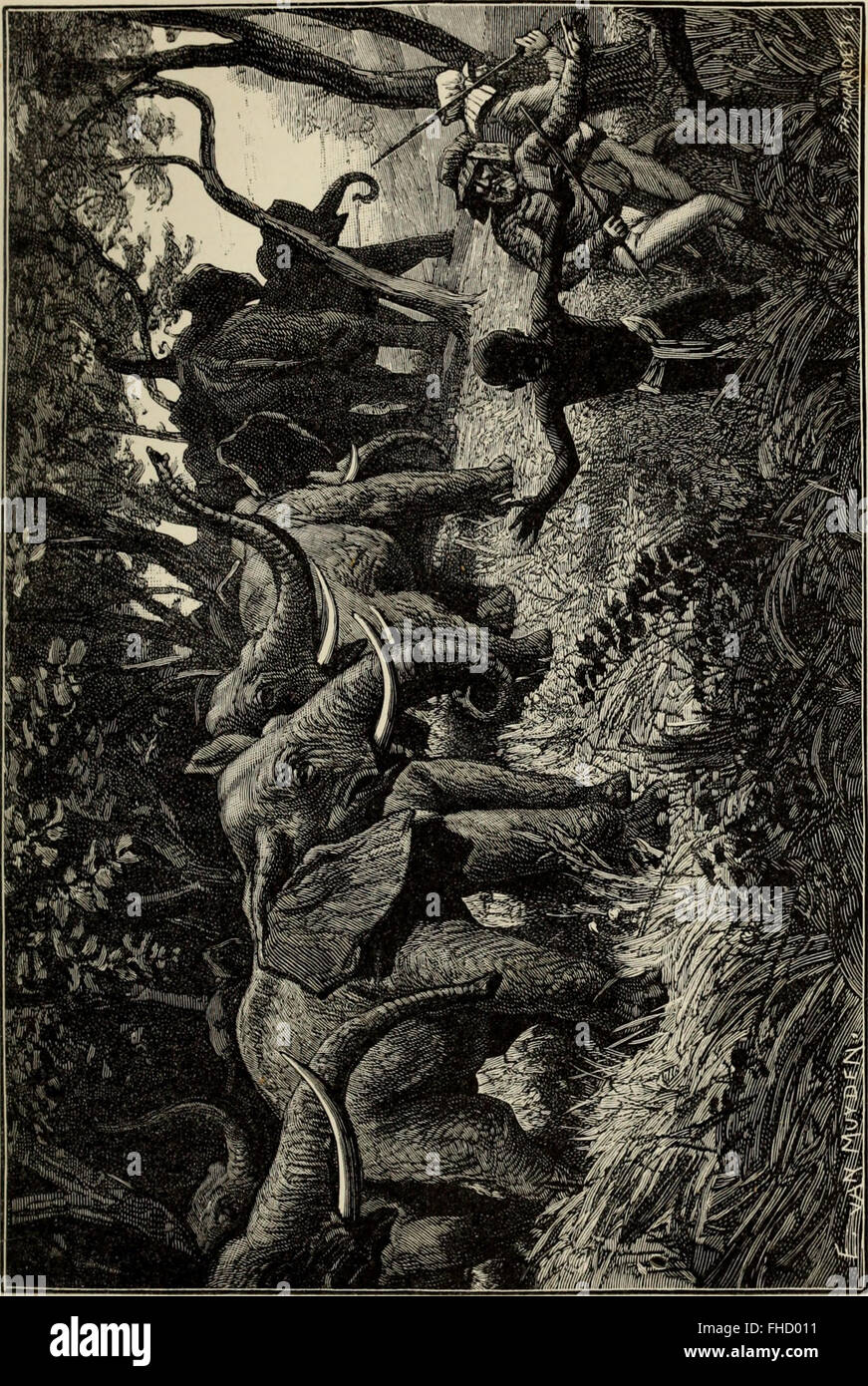 A study of early botanical and medicinal works, focusing on Dioscorides ...