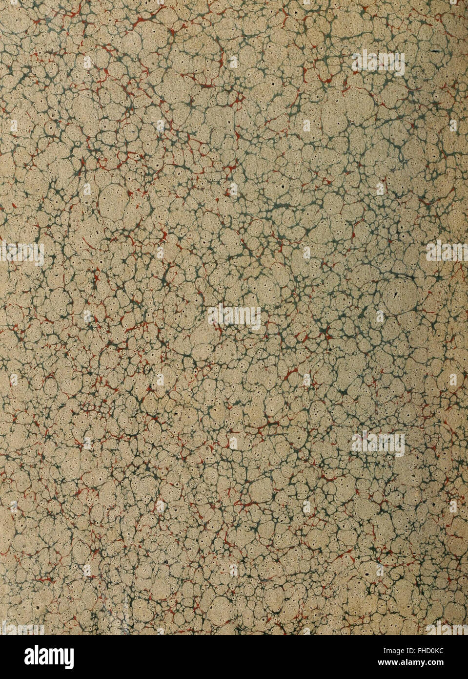 A 1863 dictionary documenting the history, titles, and lineage of the ...