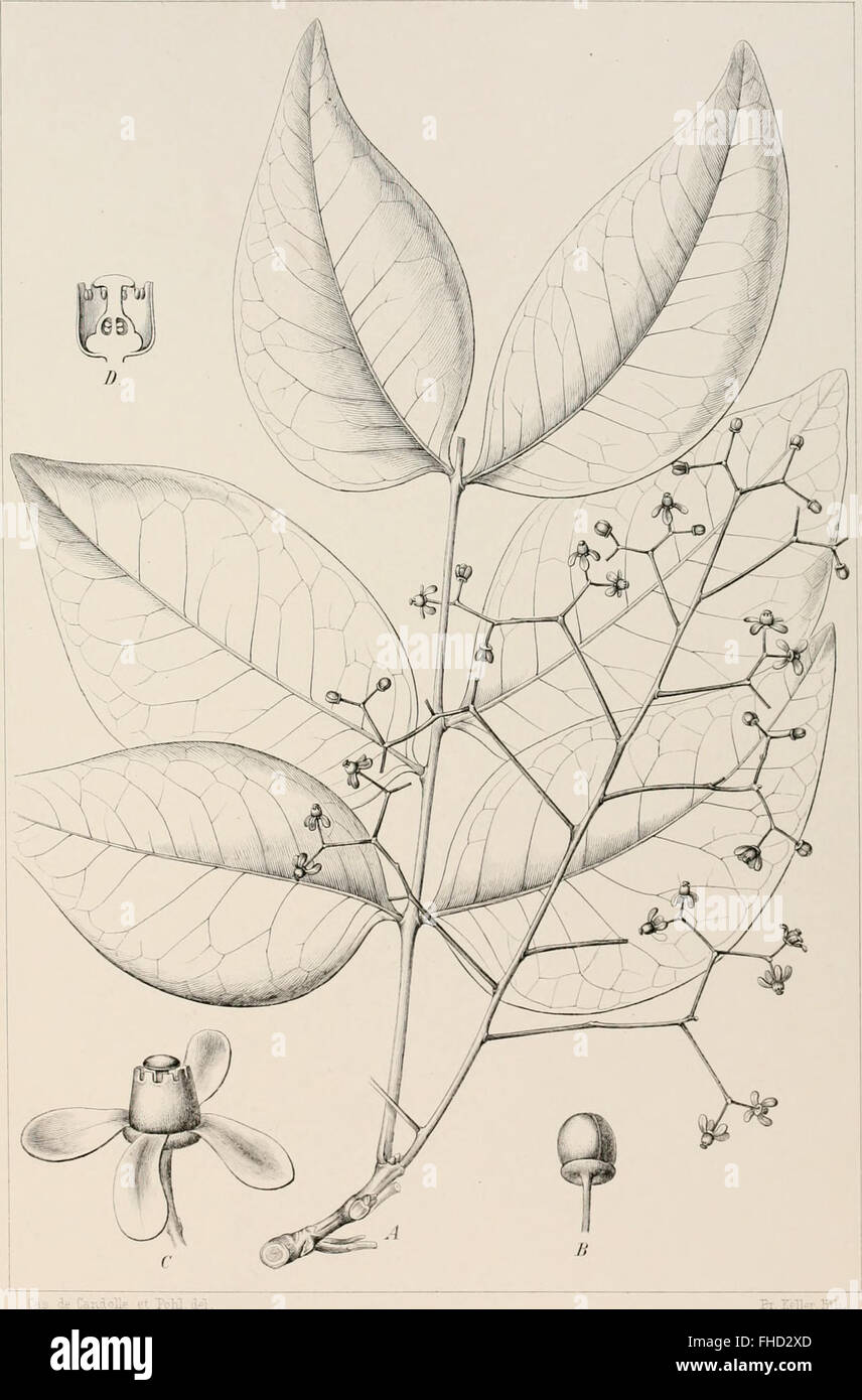 Gazelle map hi-res stock photography and images - Alamy