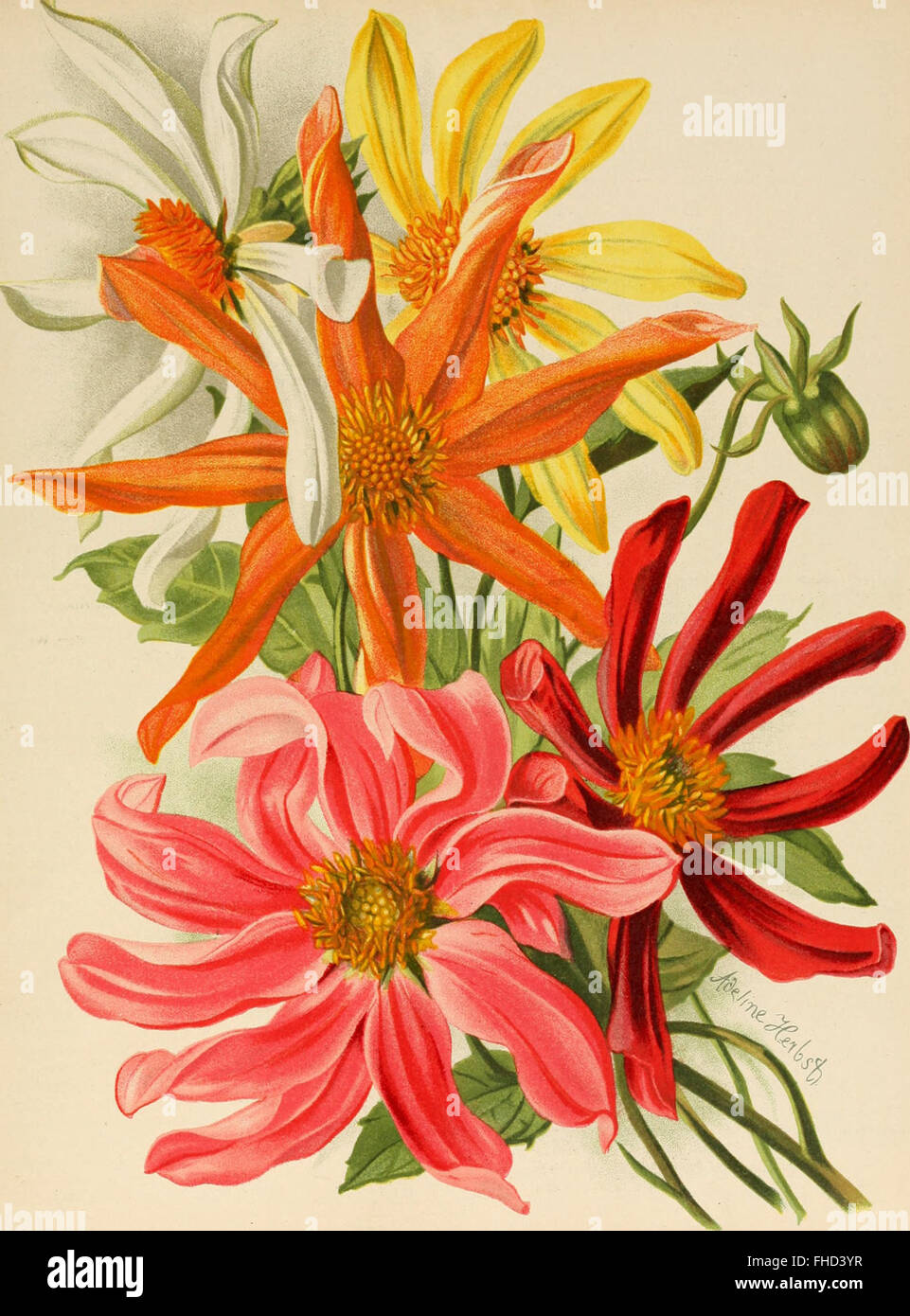 Die Gartenwelt (The Garden World) is a 19th-century German periodical ...