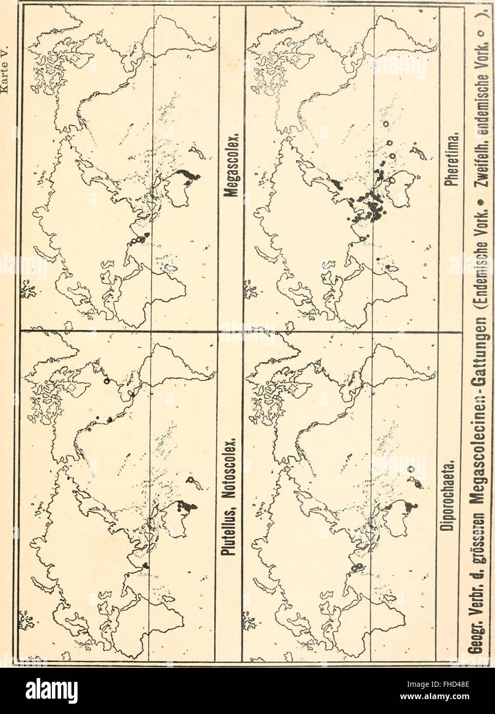 Die geographische Verbreitung der Oligochaeten (1903 Stock Photo - Alamy Die geographische Verbreitung der Oligochaeten (1903 Stock Photo - Alamy