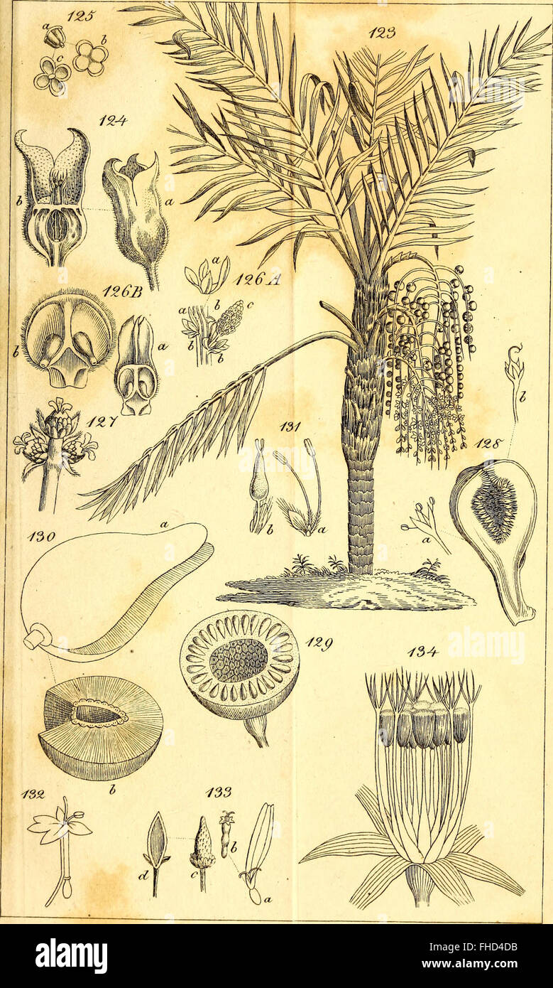 A 1836 work on the history of nature, offering an updated and expanded ...