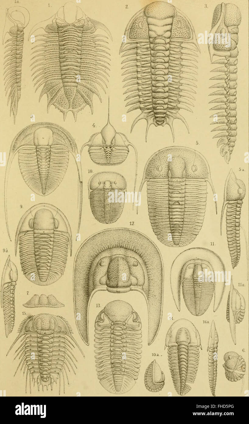 This work from 1866 covers the scientific classification of arthropods ...
