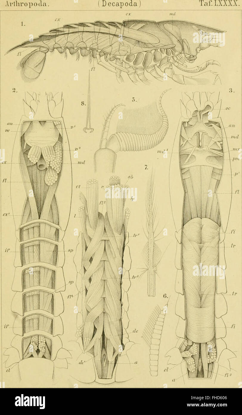 Offering scientific identification hi-res stock photography and images ...