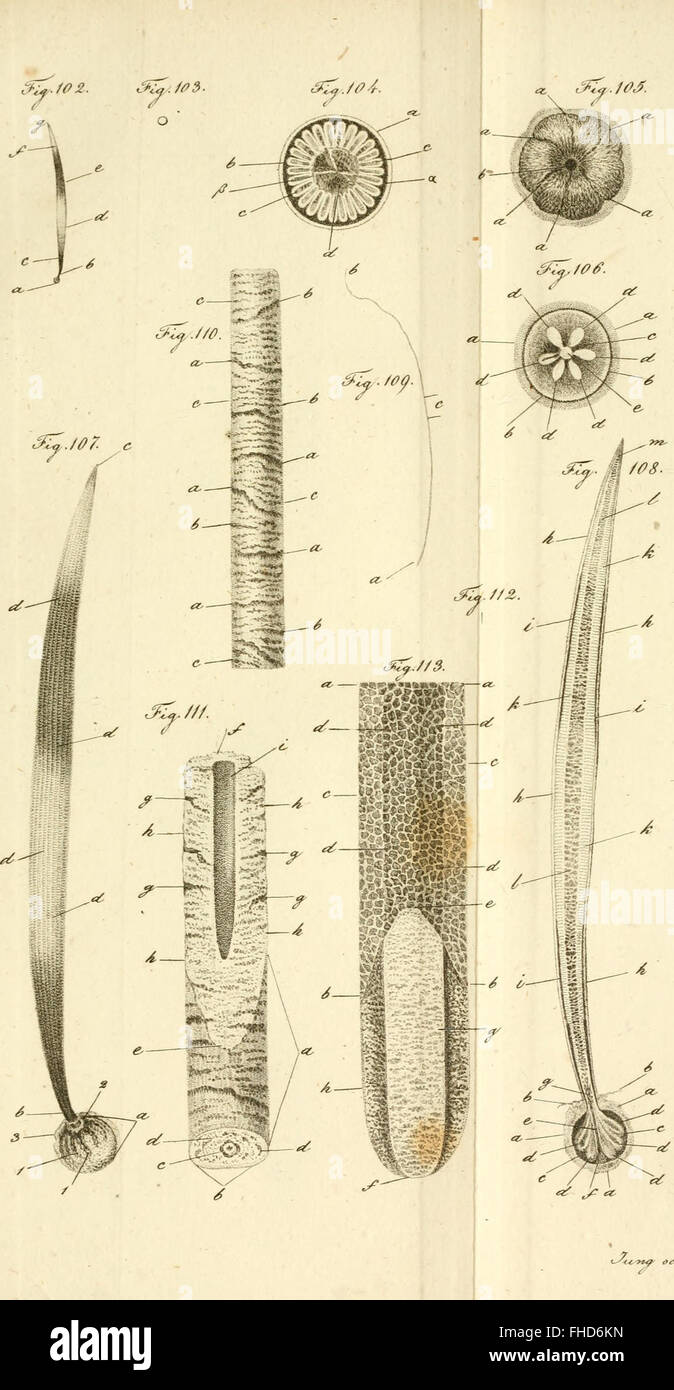 The study of hair in all organic nature, focusing on its biological and ...