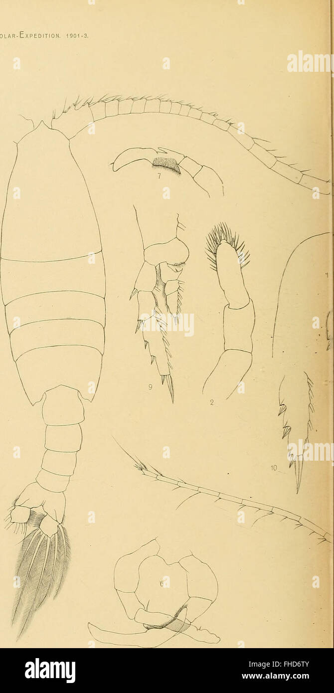 This work details the marine copepods discovered during the German ...