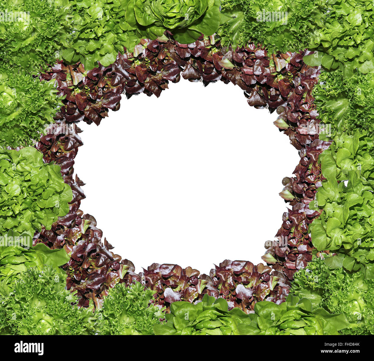 Fresh Salad photo frame isolated Stock Photo - Alamy