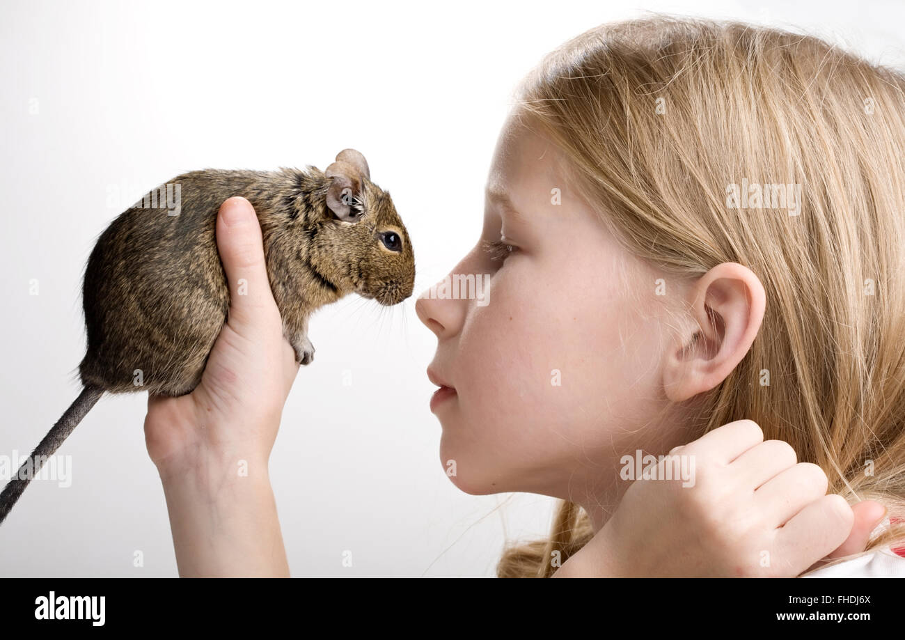 little girl with rat in hands Stock Photo - Alamy