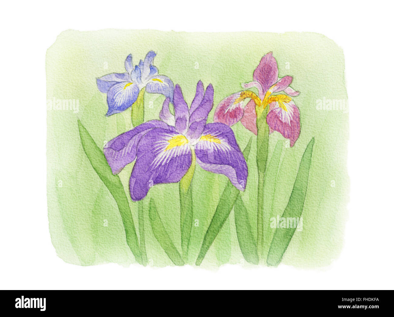 Summer solstice illustration Cut Out Stock Images & Pictures - Alamy