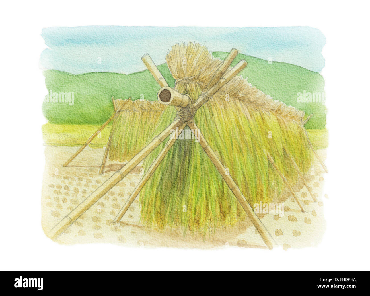 Rice watercolor hi-res stock photography and images - Alamy