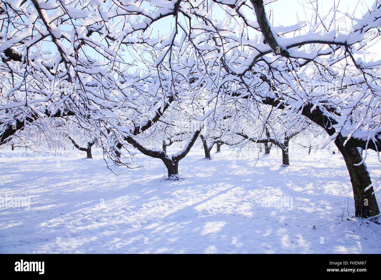 Rimed hi-res stock photography and images - Alamy