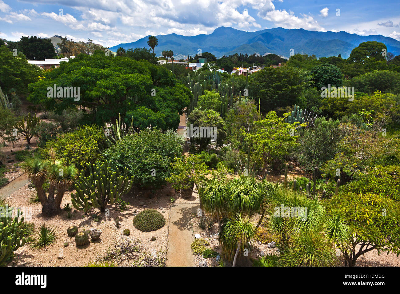 The BOTANICAL GARDEN is a fine example of Southern Mexican plants ...