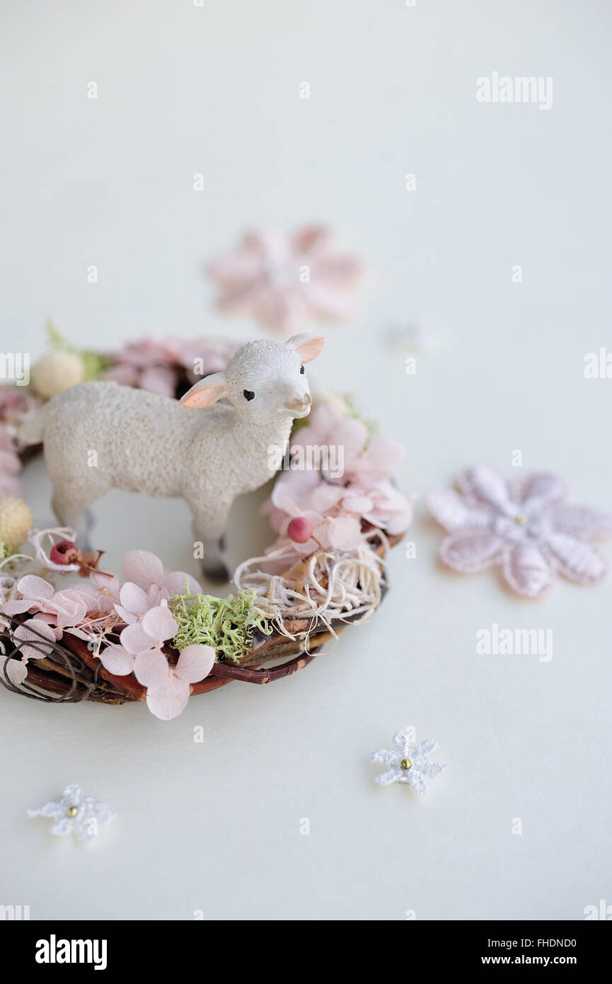 Pink lamb hi-res stock photography and images - Alamy