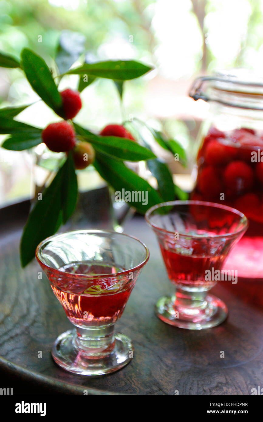 Bayberry hi-res stock photography and images - Alamy